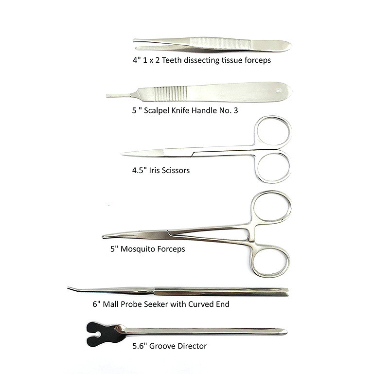 22pcs/set Anatomy Teaching Equipment Stainless Steel Probe, Scissors ...