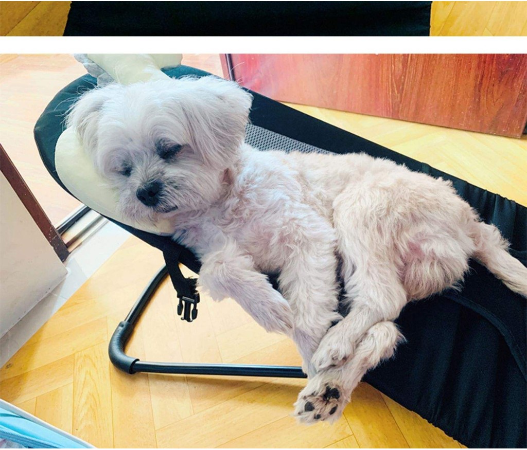 Pet Rocking Bed Spring Bed French Dog Teddy Dog sunbathing Sofa Bed Off ...