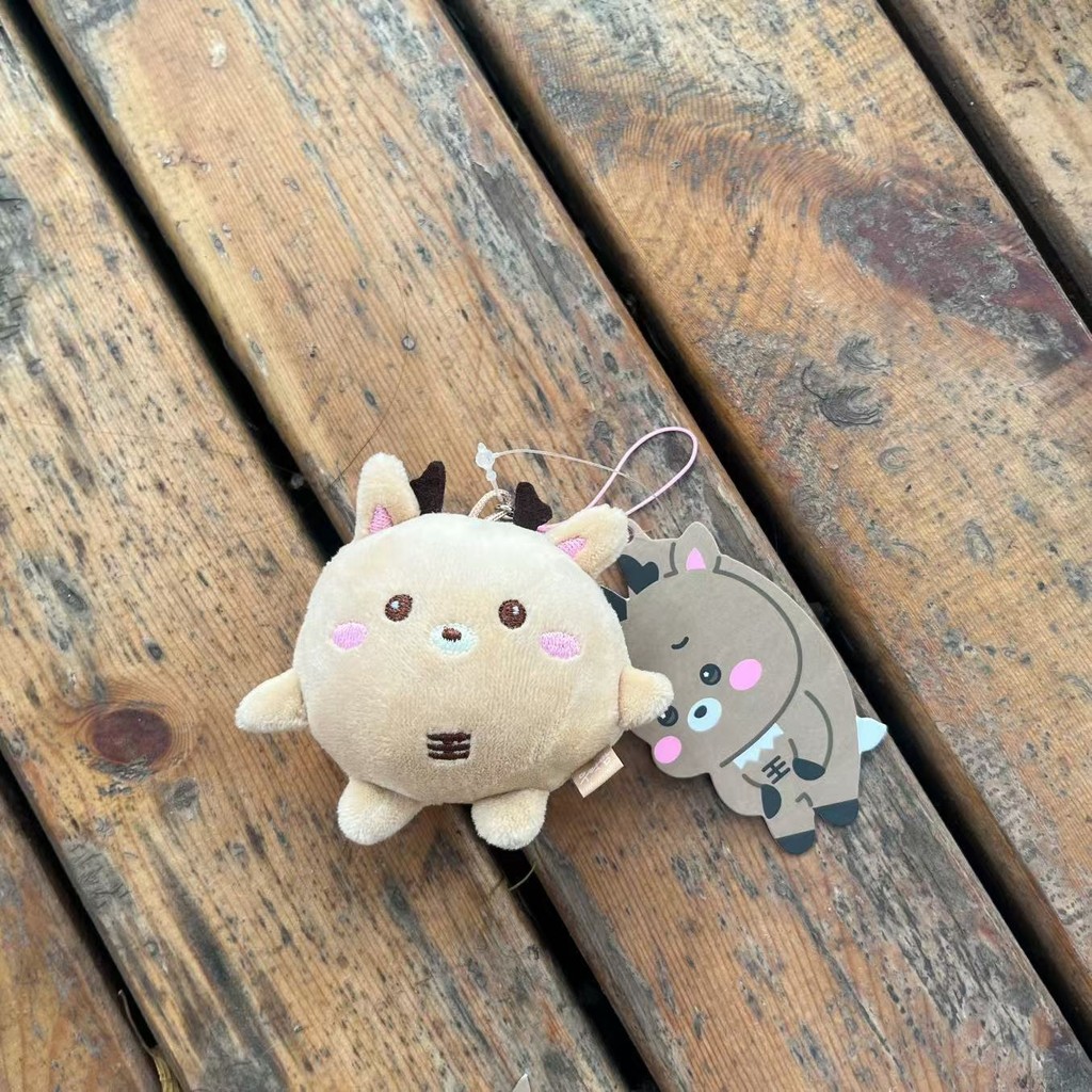 Riize Mini Doll Keyring 2024 Riizing Fan Con Riizing Day Finale ...