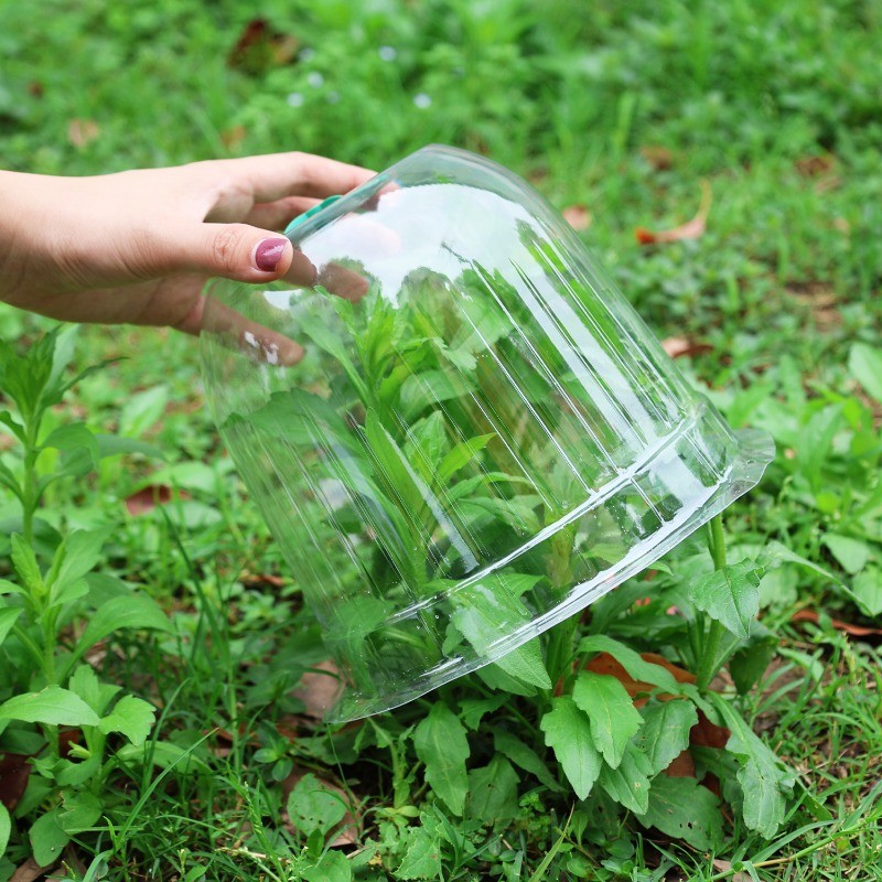 Lightweight Reusable Adjustable Ventilation Vegetable Seedling ...