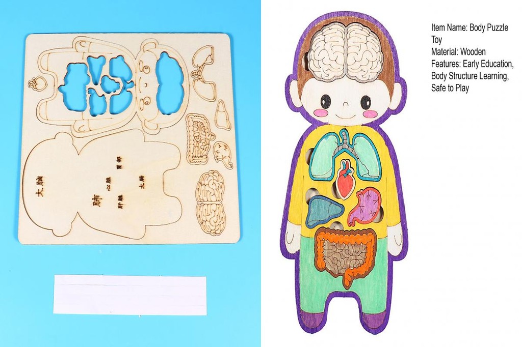 Wandereve| Wooden Body Puzzle Hands-on Anatomy Puzzle Body Puzzle Game ...