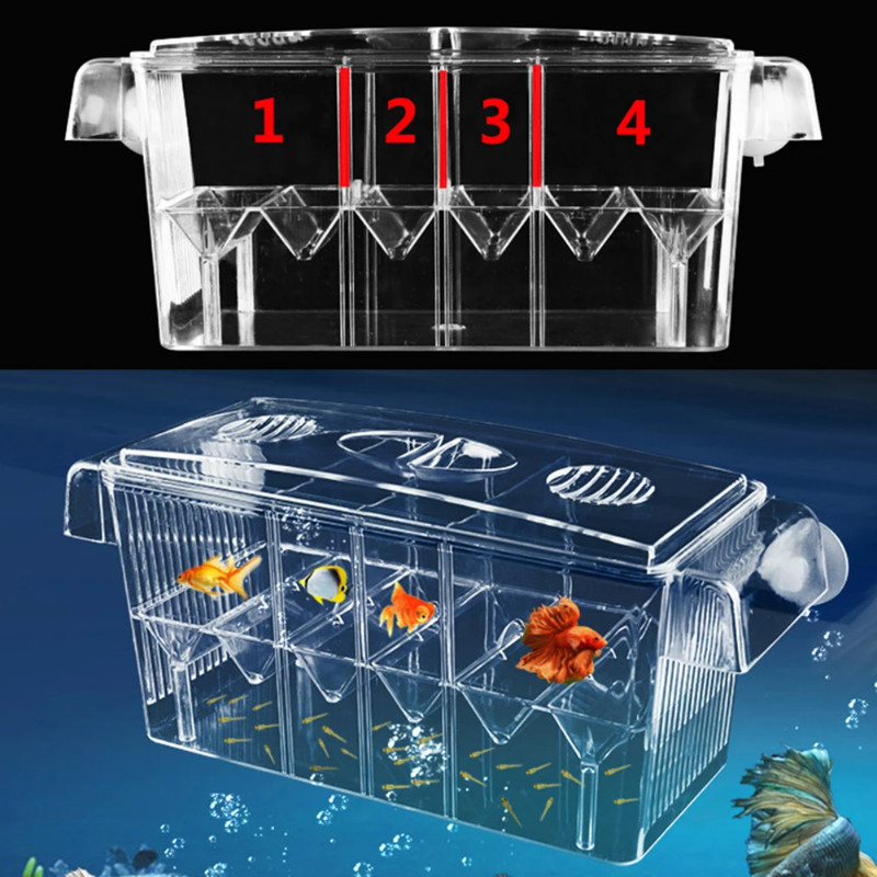 in stock 4 Room Transparent Acrylic Self-Floating Fish Hatchery Box ...