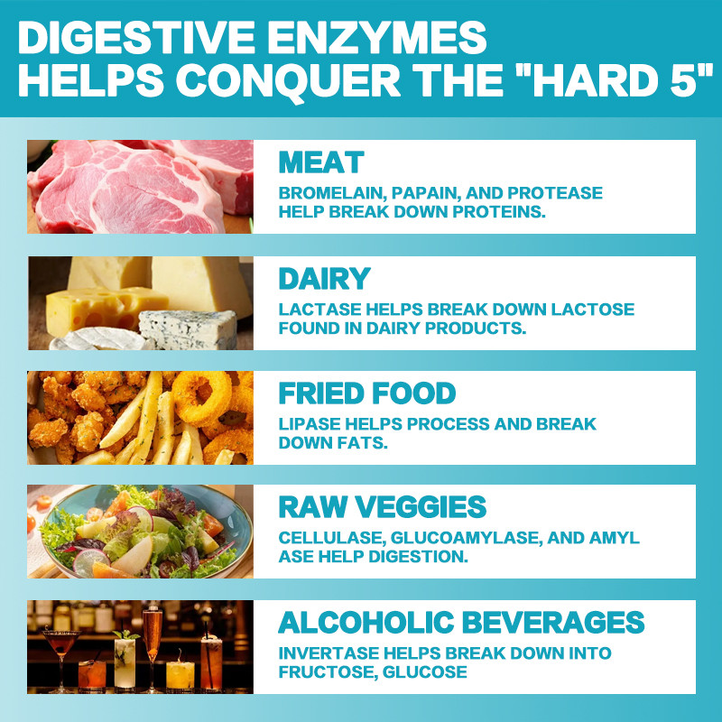 GREVIP Digestive Enzymes - Prebiotics, Probiotics - Colon Cleansing ...