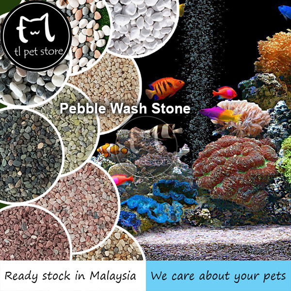 1kg Pebble Wash Stone 5mm 10mm River Stone / Batu Sungai Hiasan Batu ...