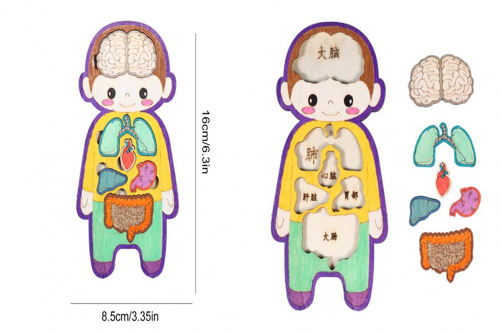 Wooden Body Puzzle Anatomy Learning Puzzle Body Puzzle Game for Kids ...