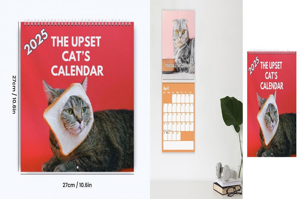 fyourpg Humorous Cat Calendar Rich Colors Cat Calendar 2025 Funny Cat ...