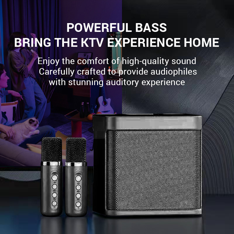 (MY 24h Fast Shipping）Home KTV Bluetooth Speaker with Wireless ...