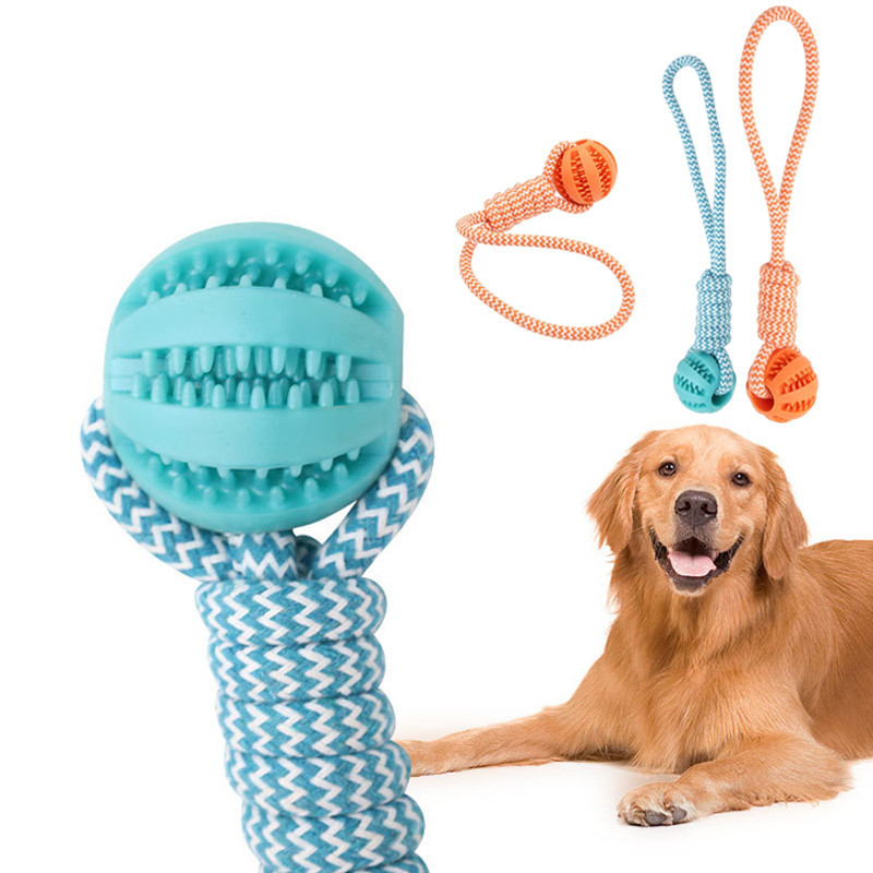 Pet Rubber Leaking Balls Toy Dog Treat Ball with Rope Puppy Chewing ...