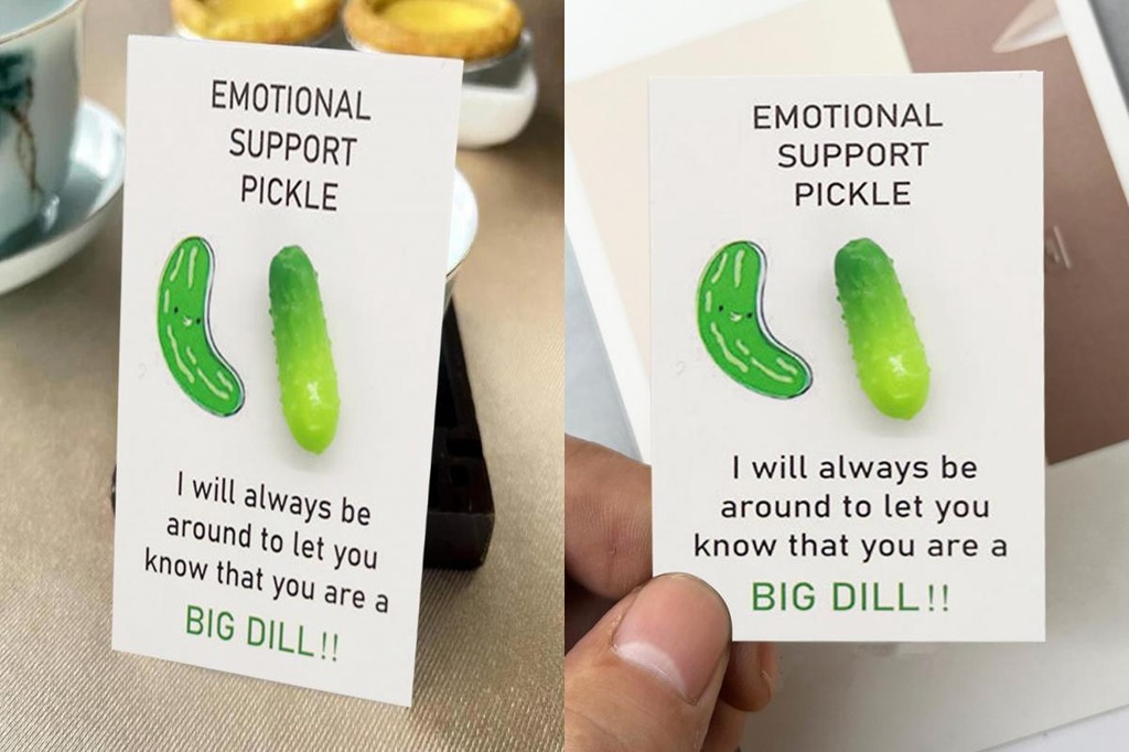 [TS] Positive Message Card Gathering Gift Card Mini Pickle Pocket Hug ...