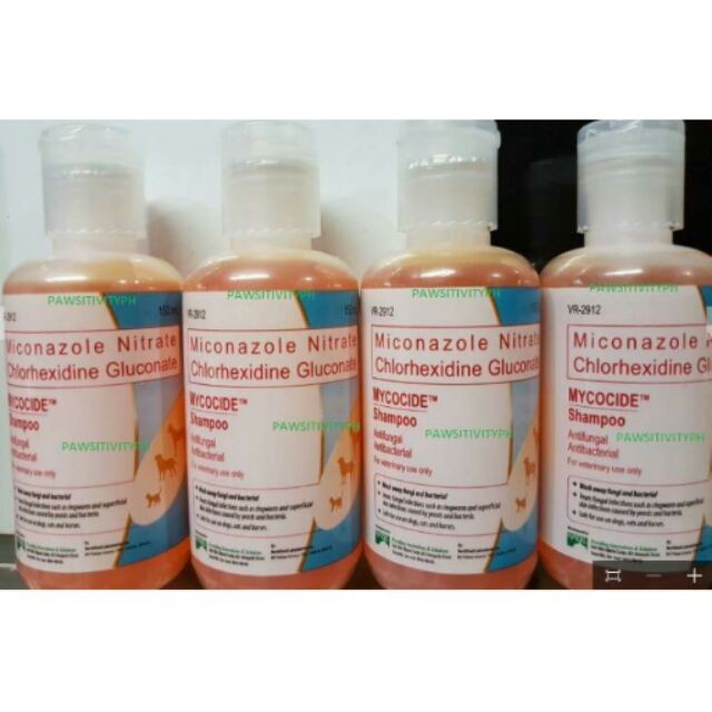 in stock Mycocide Shampoo Anti-Fungal and Anti-Bacterial Shampoo ...