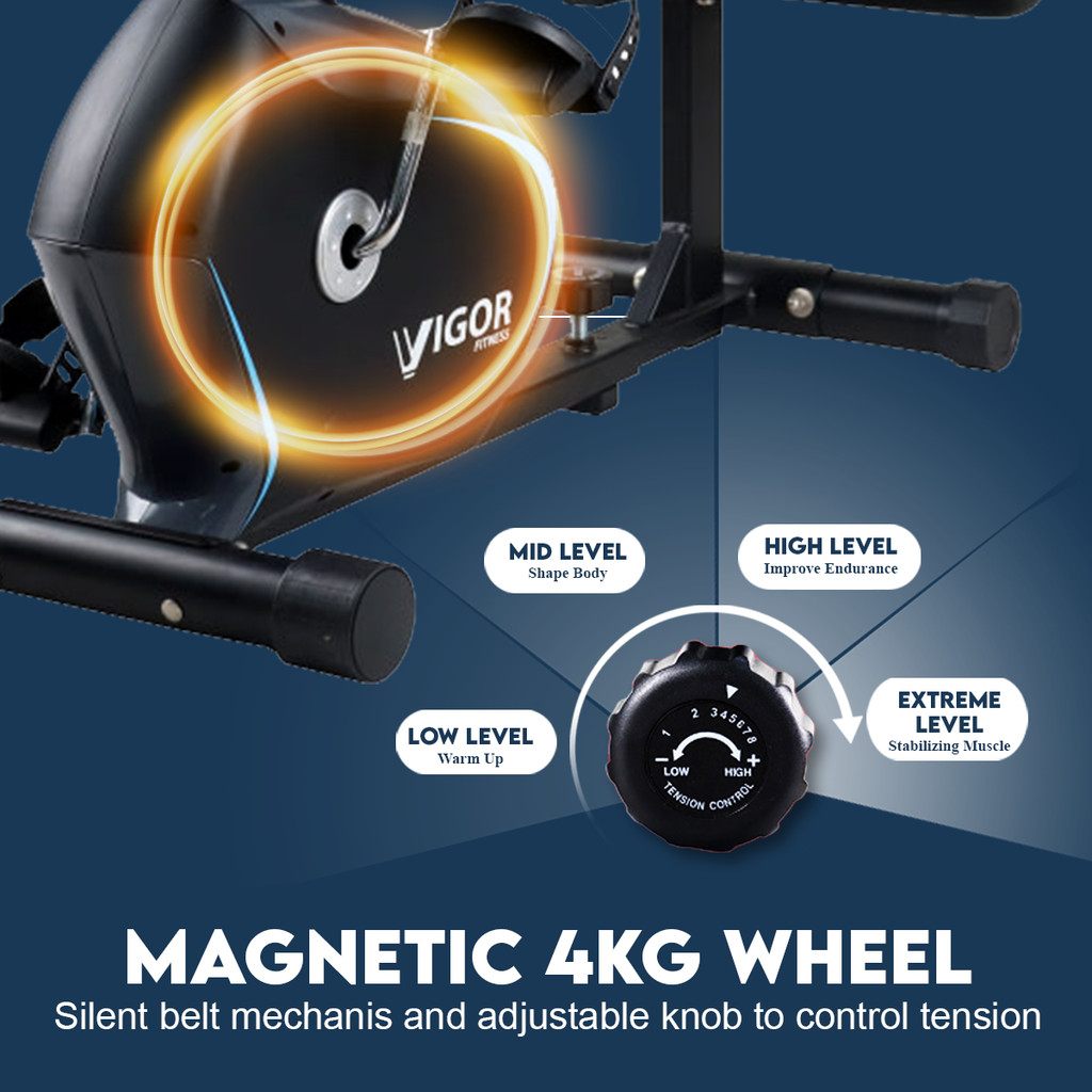 Vigor Fitness Recumbent Magnetic Physiotherapy Indoor Bike VF8304R ...
