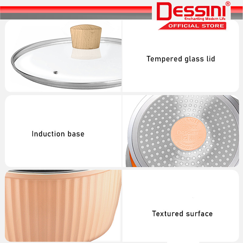 DESSINI ITALY iFUJITA 24CM Casserole Die Cast Aluminium Induction Non ...