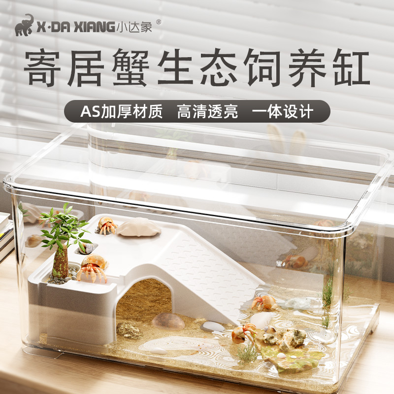 Hermit Crab Breeding Box Set Small Desktop With Climbing Platform ...