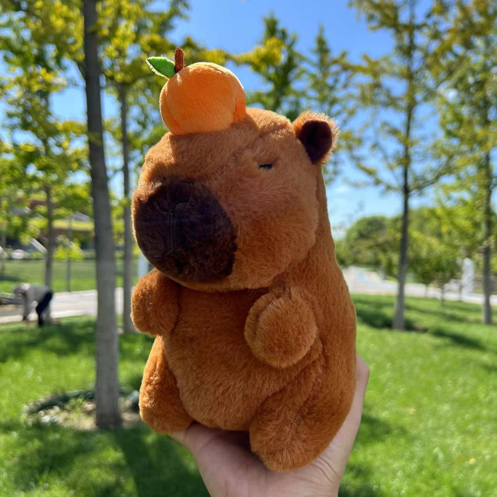 Capybara 25CM plush toy doll compilation Cartoon Capybara plushie doll ...