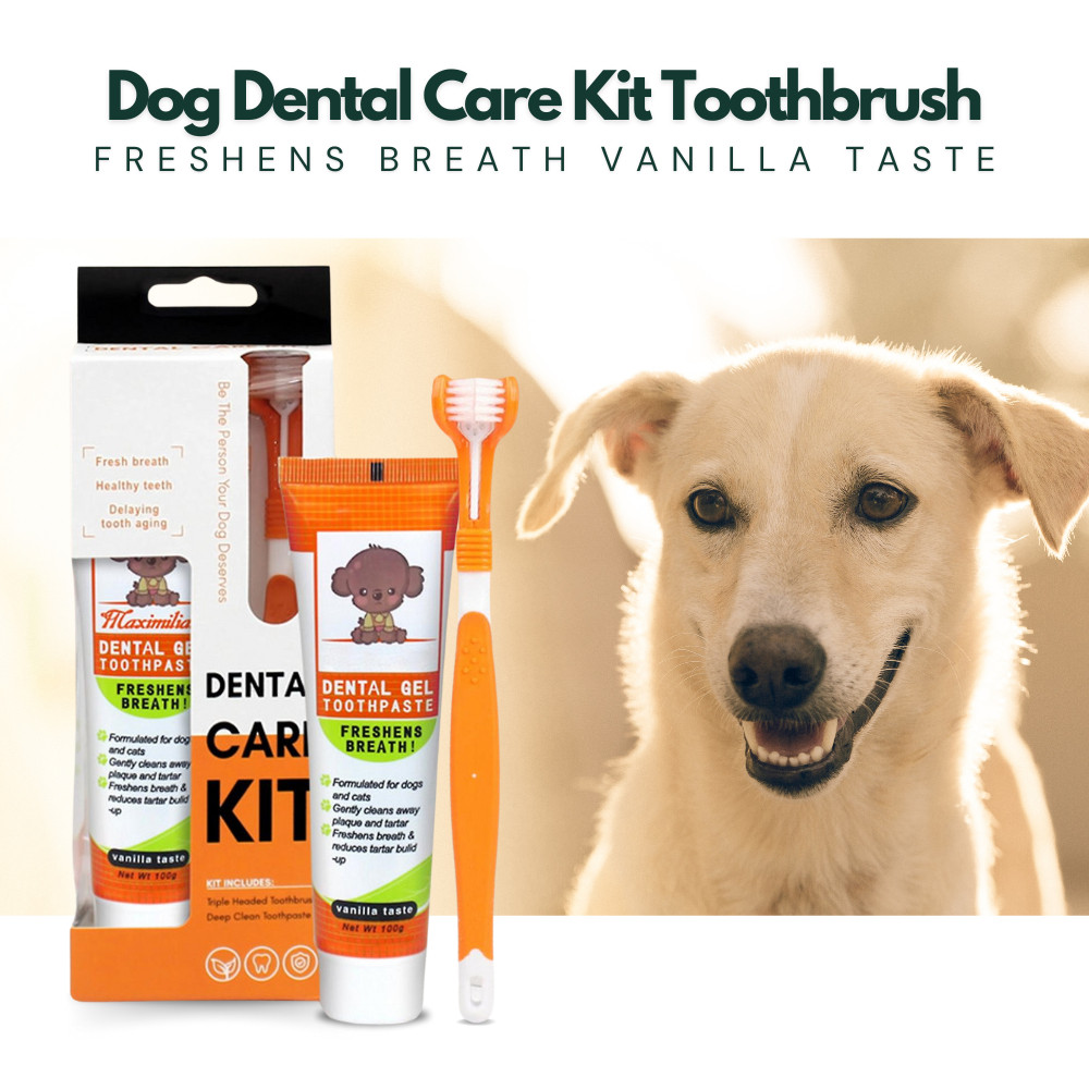 Dog Toothpaste Set Teeth Brush Pet Dog Dental Care Set Teeth Control ...