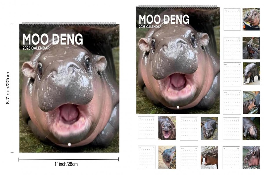 Mu Deng Calendar Adorable Monthly Animal Images Calendar 2025 Pygmy ...