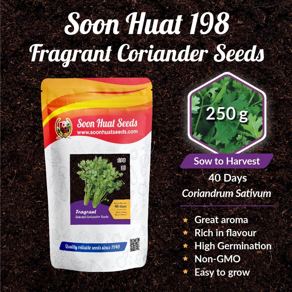 [250g] 198 Benih Ketumbar Wangi Soon Huat Seeds | Shopee Malaysia