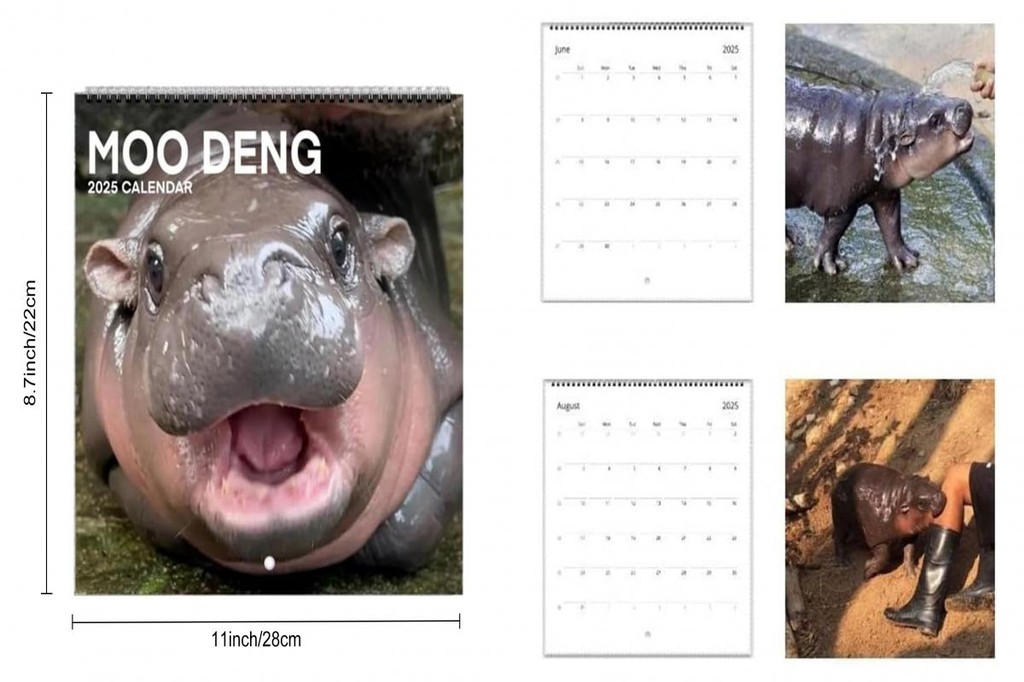 NTA Mu Deng Calendar 12-month Calendar with Animals 2025 Pygmy Hippo ...