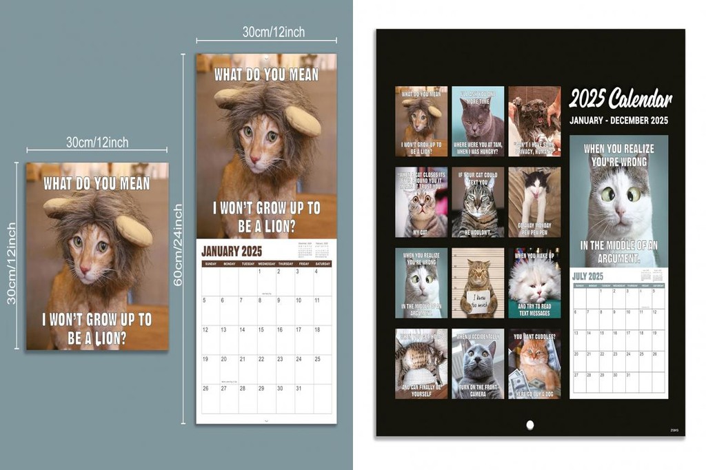 FA| Funny Cat Memos Calendar Monthly Planning Tool with Cats 2025 Funny ...
