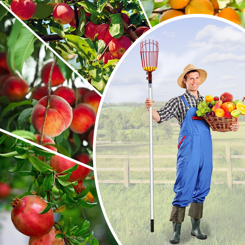 Height Adjustable Multifunction Fruit Picker net Basket Tool Easy Safe ...