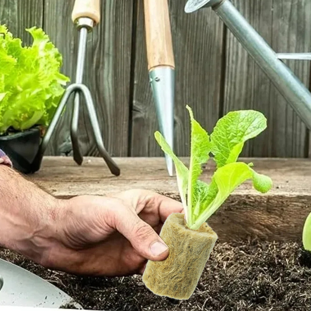 10Pcs Simple Practical Cylindrical Seedling Grow Media Plugs ...