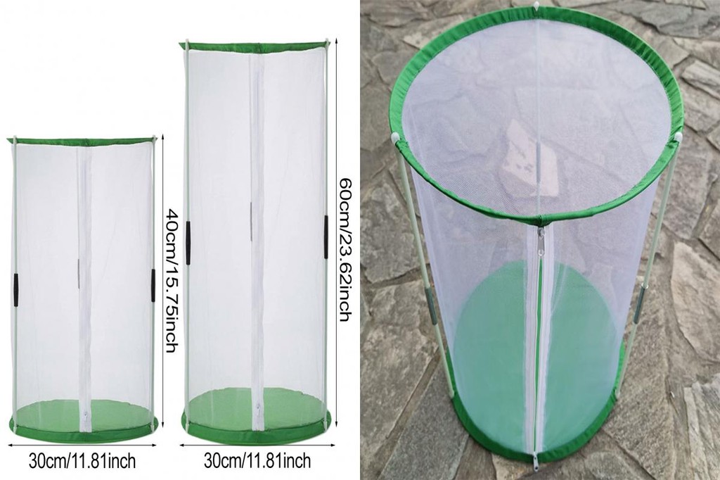 poyingtis Reusable Plant Cage Plant Protection Mesh Mini Butterfly ...