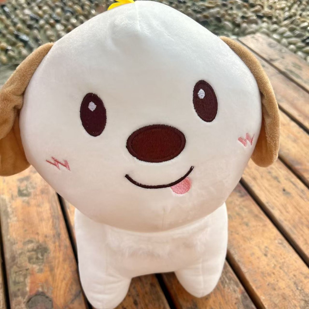 40cm Kpop RIIZE Cute Cartoon Character Plush Doll Stuffed Animals Kids Toys Gifts | Shopee Malaysia