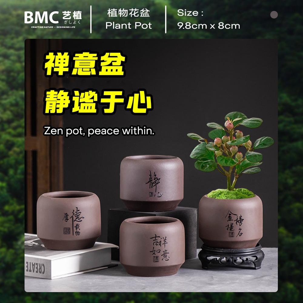 BMC Creative Purple Sand Bonsai Pot Green Plant Flower Pot Lucky Bamboo ...
