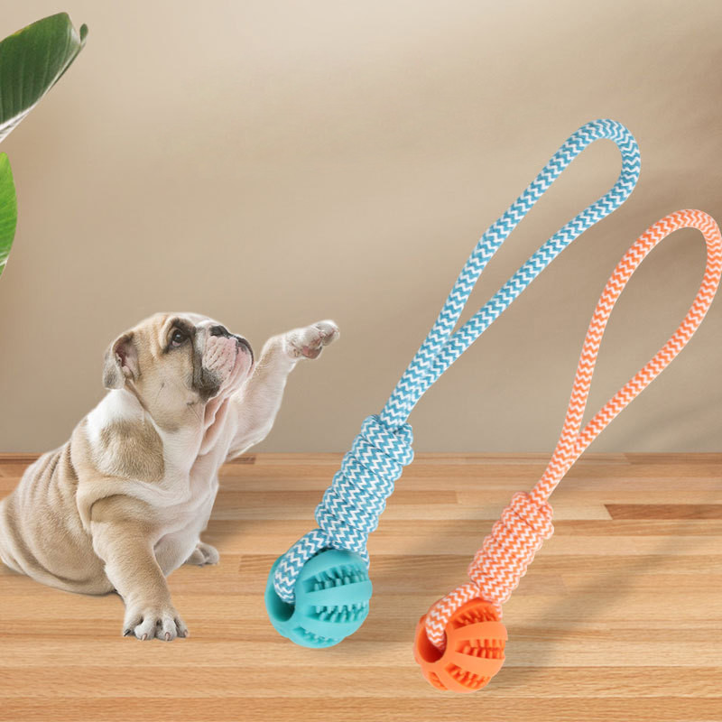 Pet Rubber Leaking Balls Toy Dog Treat Ball with Rope Puppy Chewing Bite Resistant Toys | Shopee ...