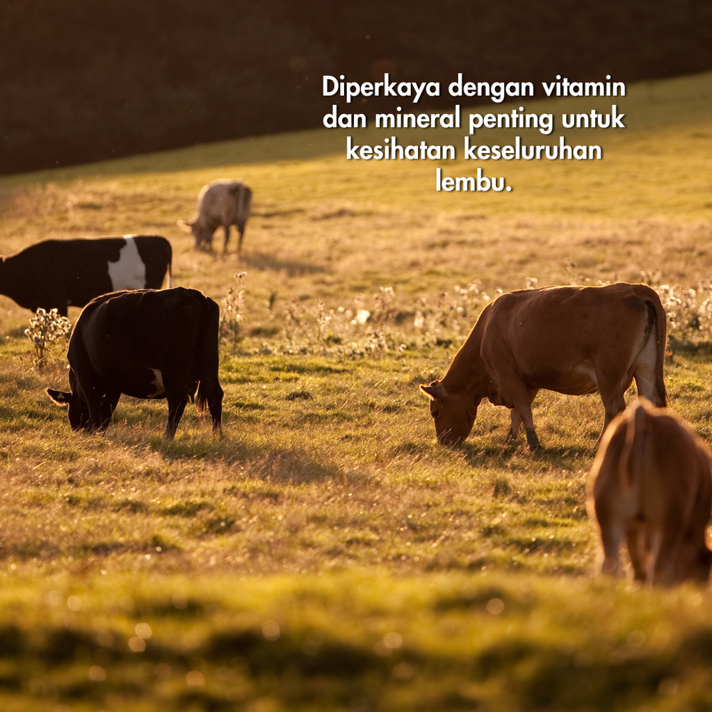 [1KG] [REPACK] PKP JOHOR | MAKANAN RUMINAN | DEDAK LEMBU | SIWA ...