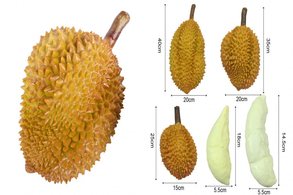 [providence] Durian Display Prop Realistic Durian Model for Fruit ...