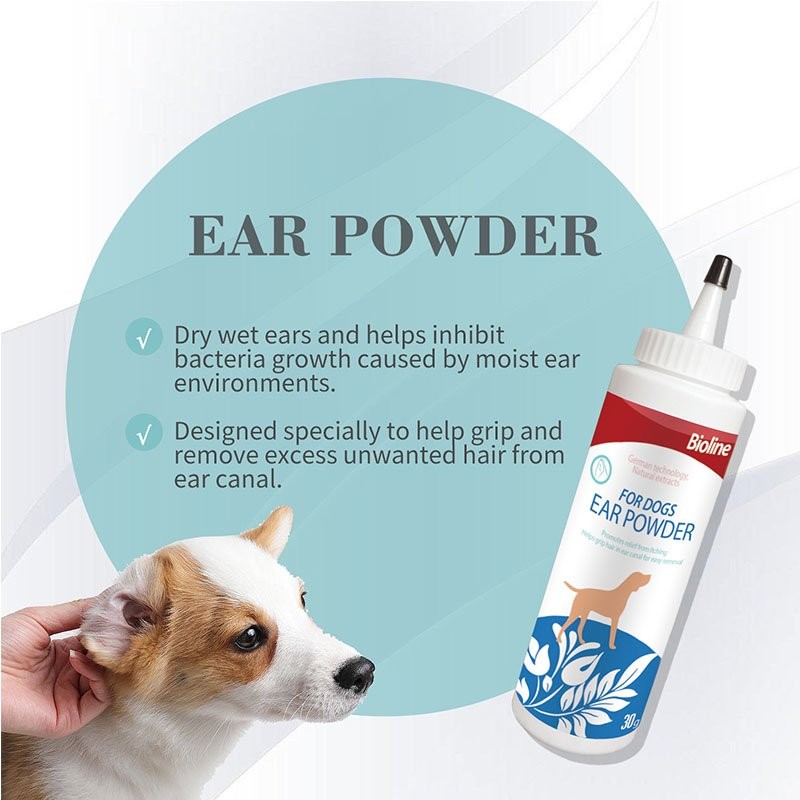 BIoline Ear Powder 30g | Shopee Malaysia