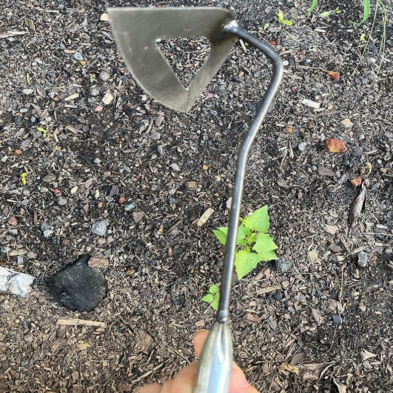 Traditional garden hoes are used for sharp weeding and hand-held ...