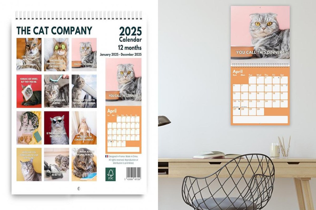 fyourpg Humorous Cat Calendar Rich Colors Cat Calendar 2025 Funny Cat ...