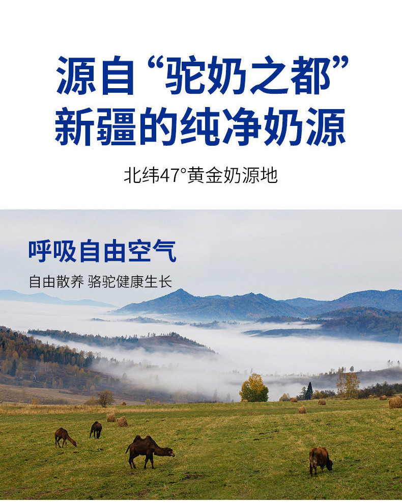 Probiotics camel milk powder Xinjiang authentic camel milk powder pure ...