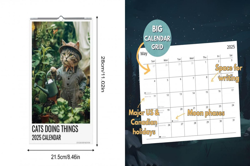 BoomBoom Thick Paper Smooth Writing Experience Fun Cat Calendar Daily ...