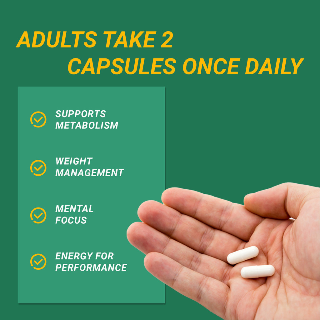 Green Tea Extract 50% with EGCG - 30/60/120 Capsules (Non-GMO) - Leaf ...