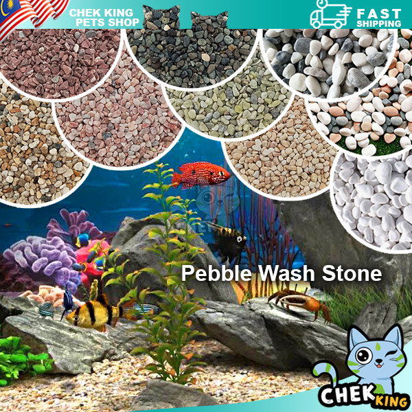 18kg Pebble Wash Stone 5mm 10mm River Stone / Batu Sungai Hiasan Batu ...