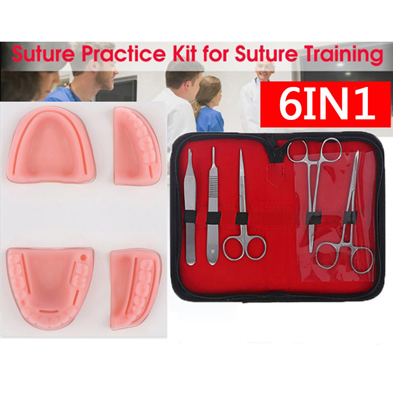 4Pcs/Set Dental Oral/Gum Suture Training Module Silicone Periodontitis ...
