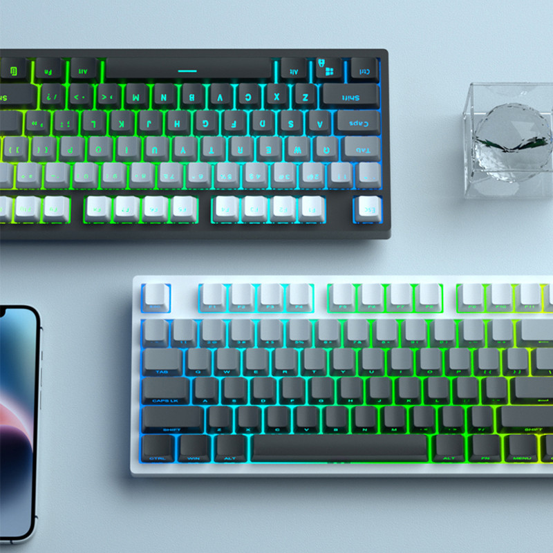 PBT Keycap OEM Dust Gray Side-engrave Trans-light Keycap Personality ...