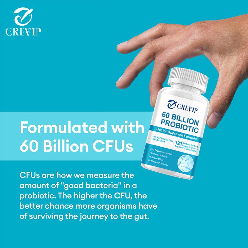 GREVIP 60 Billion CFU Probiotics - Prebiotics - Gut Health Digestive ...
