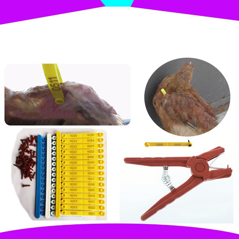 20Pcs Wingband Chicken Wing Band Industrial Tracking Chicken Wing For ...