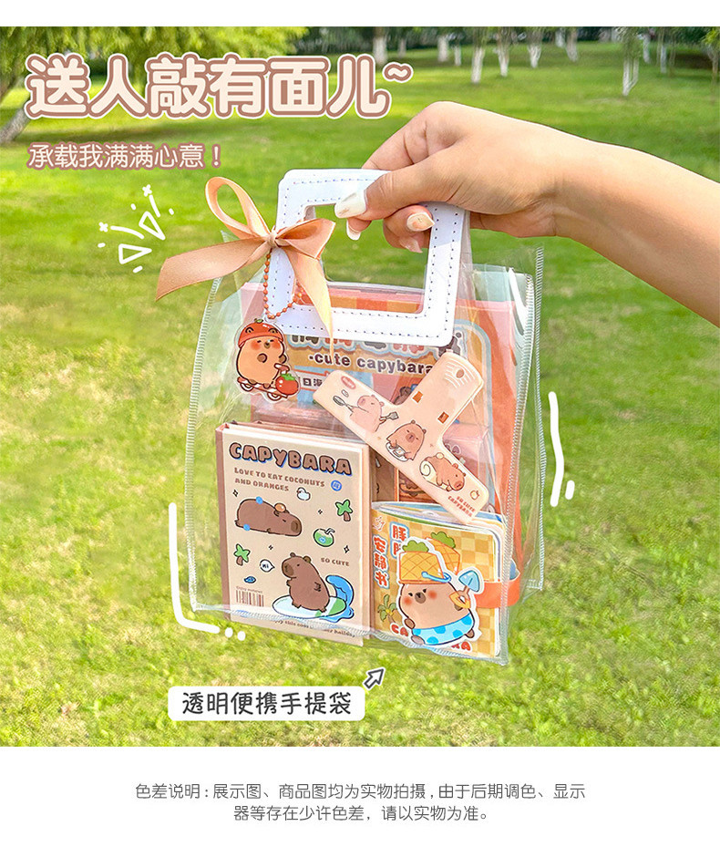 Capybara Stationery set Graduation gift Students birthday gift Handmade ...