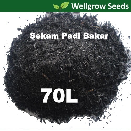 70L Rice Husk Ash / Sekam Padi Bakar (Approx 8 -10kg) 稻壳灰 Paddy Husk ...