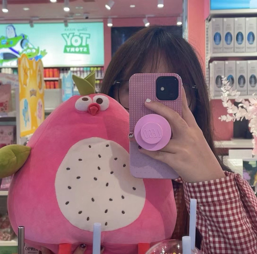 BCT Dundun Chicken Plush Toy Burger Chicken Fruit Chicken Watermelon ...