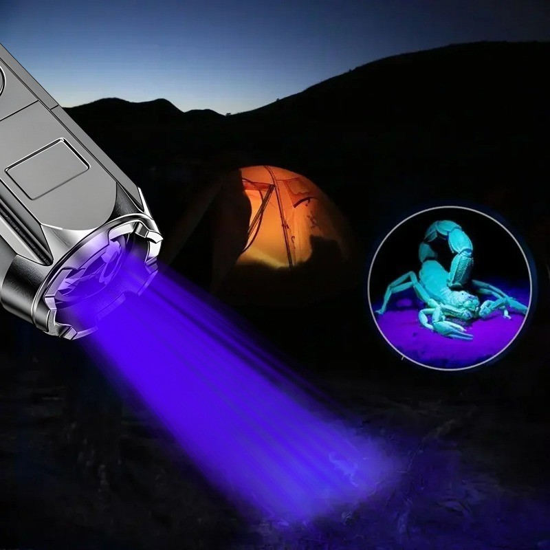USB Charging LED Ultraviolet Zoomable Flashlight Portable UV Torch ...