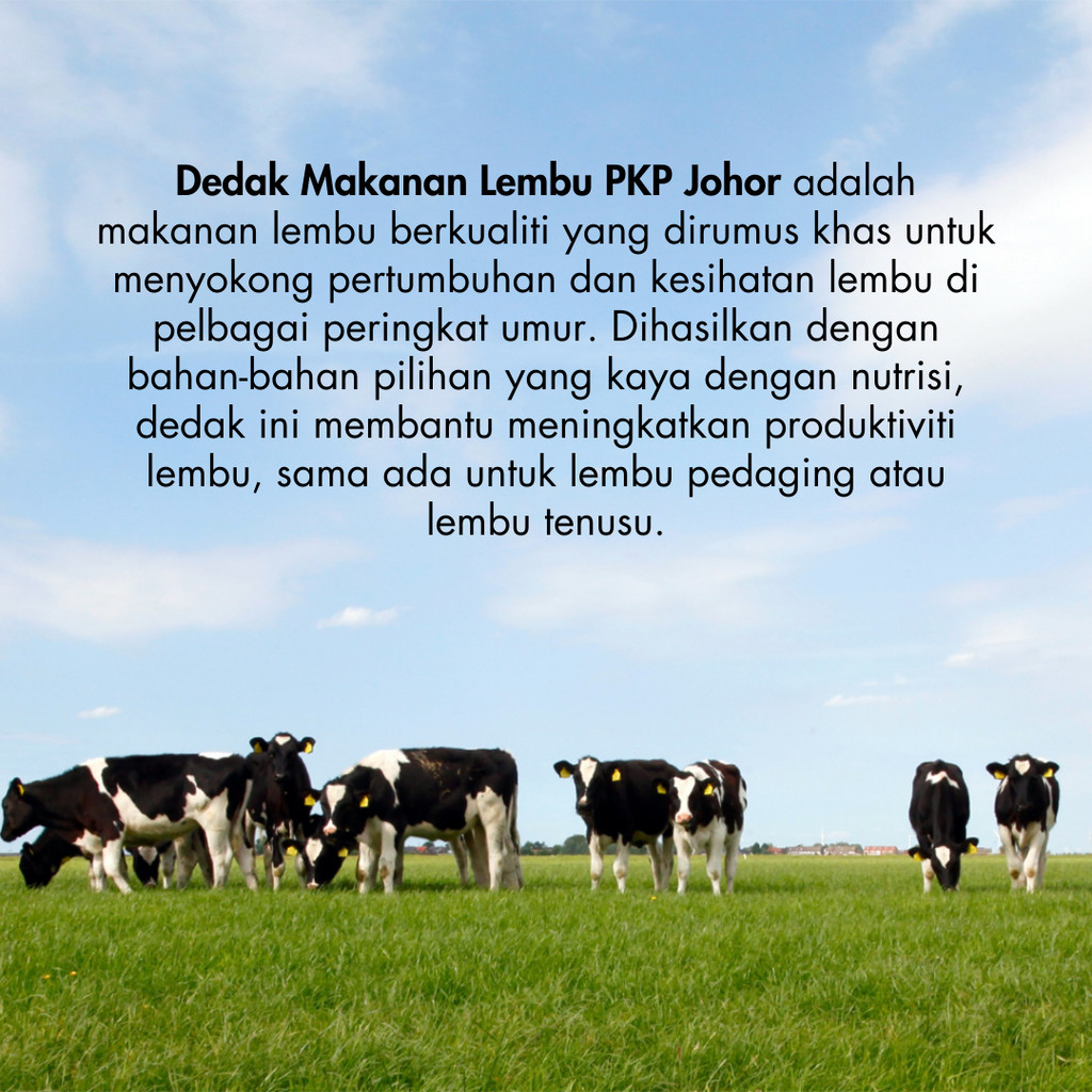[15KG] [REPACK] PKP JOHOR | MAKANAN RUMINAN | DEDAK LEMBU | SIWA ...