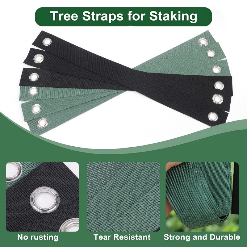 Anti-Hurricane Nylon Fixed Straps Strong Support Garden Planted ...