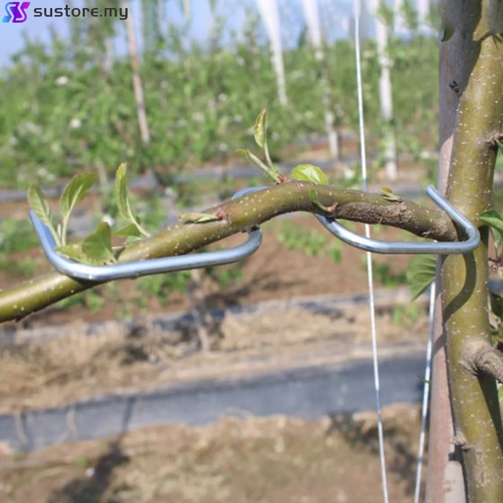 [Super] 50pcs M-Shaped Fruit Tree Branch Dividers - Portable Tools ...
