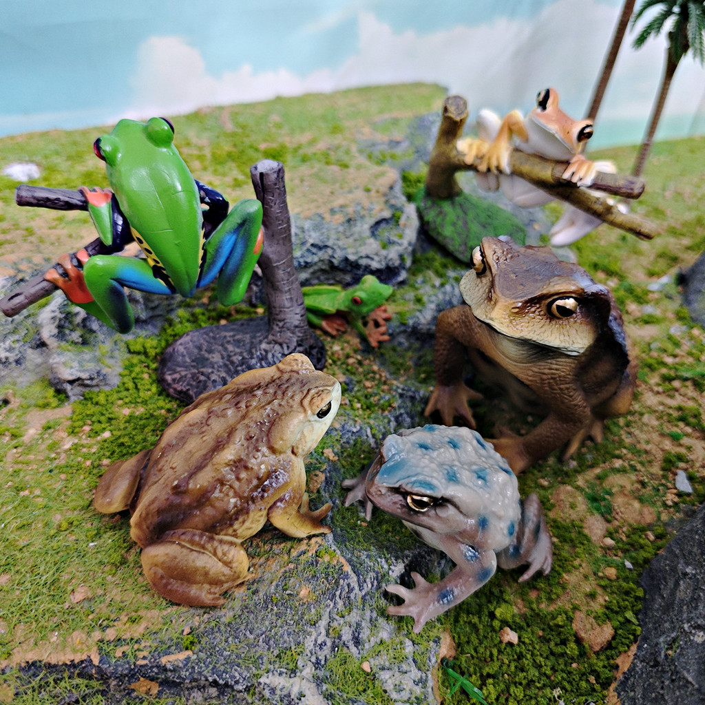 Childrens Animal Wildlife Pvc Model With Static Amphibian Figures For ...